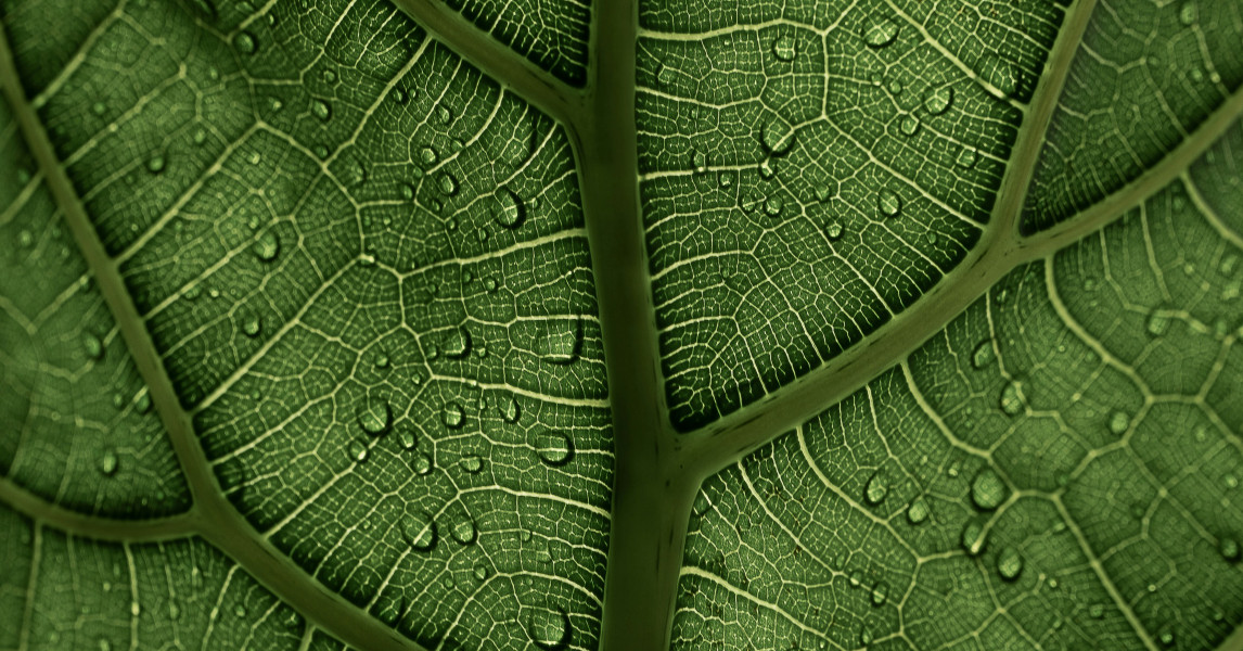 Ecologie – qui est le meilleur ? VOLT ! – Volt France